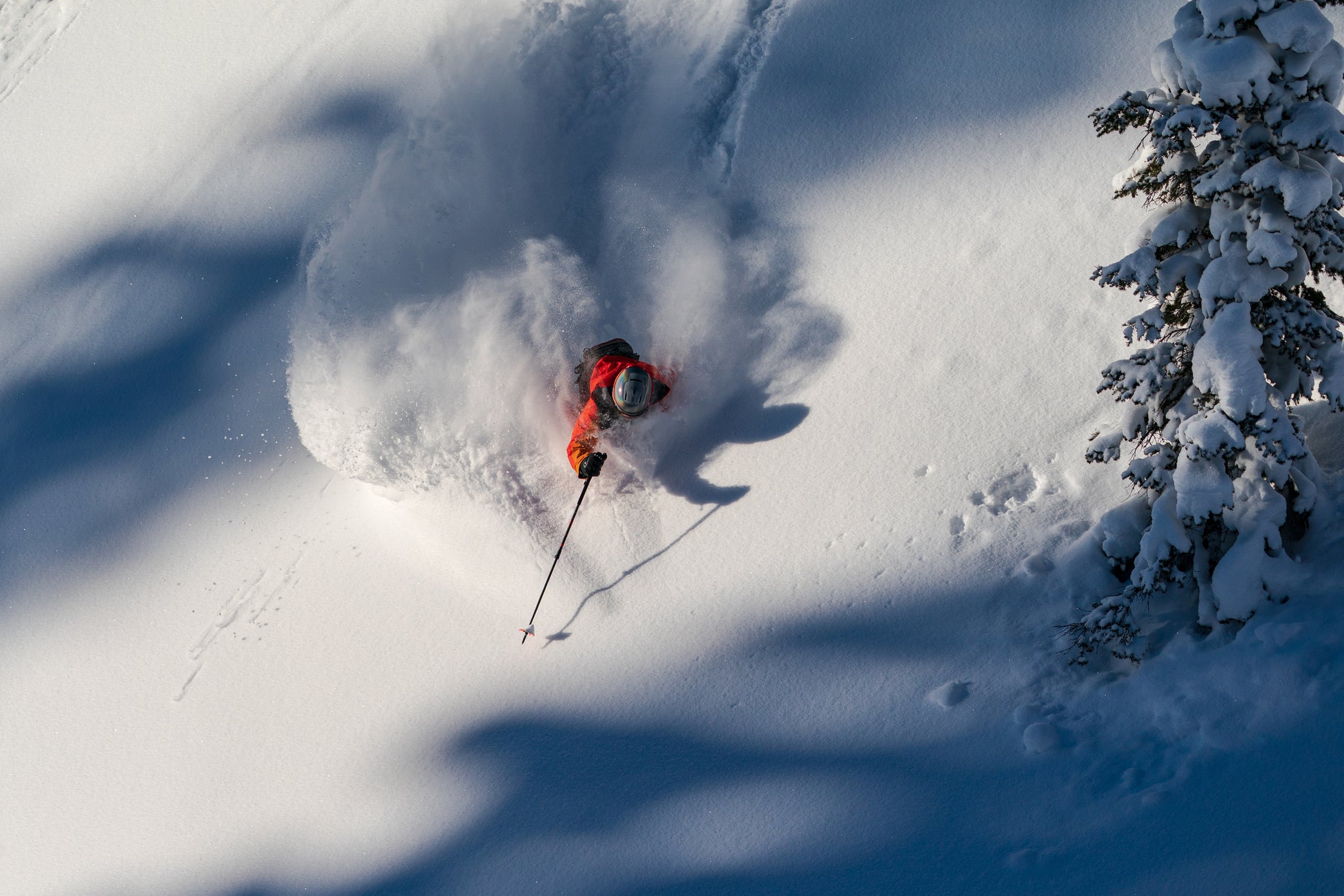 Liam Doran – Think Tank Photo