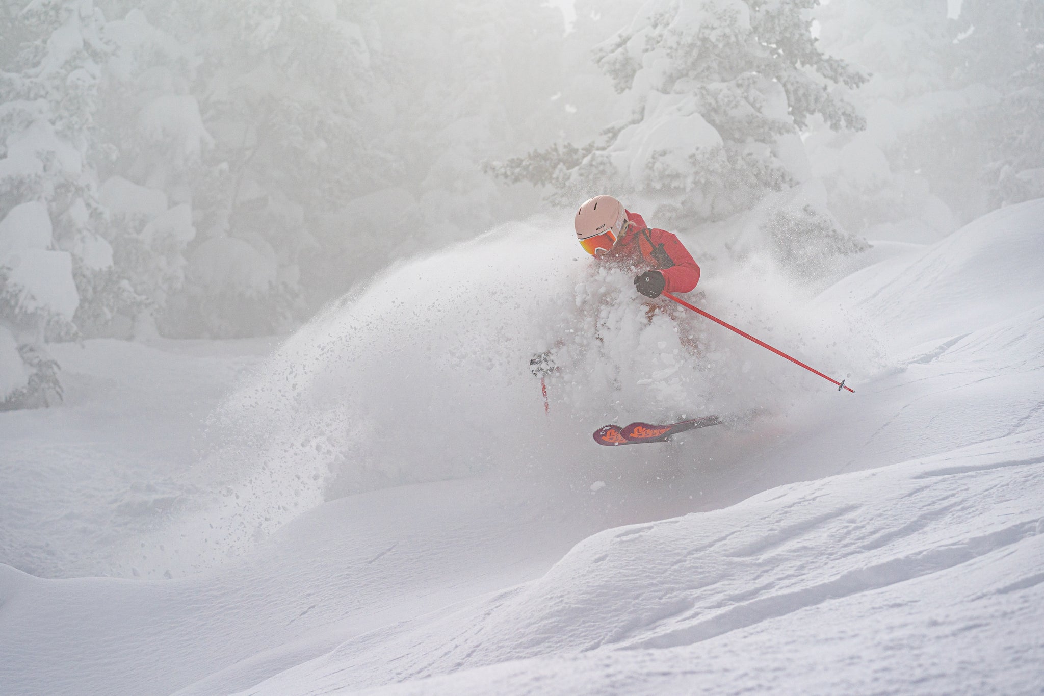 Liam Doran – Think Tank Photo