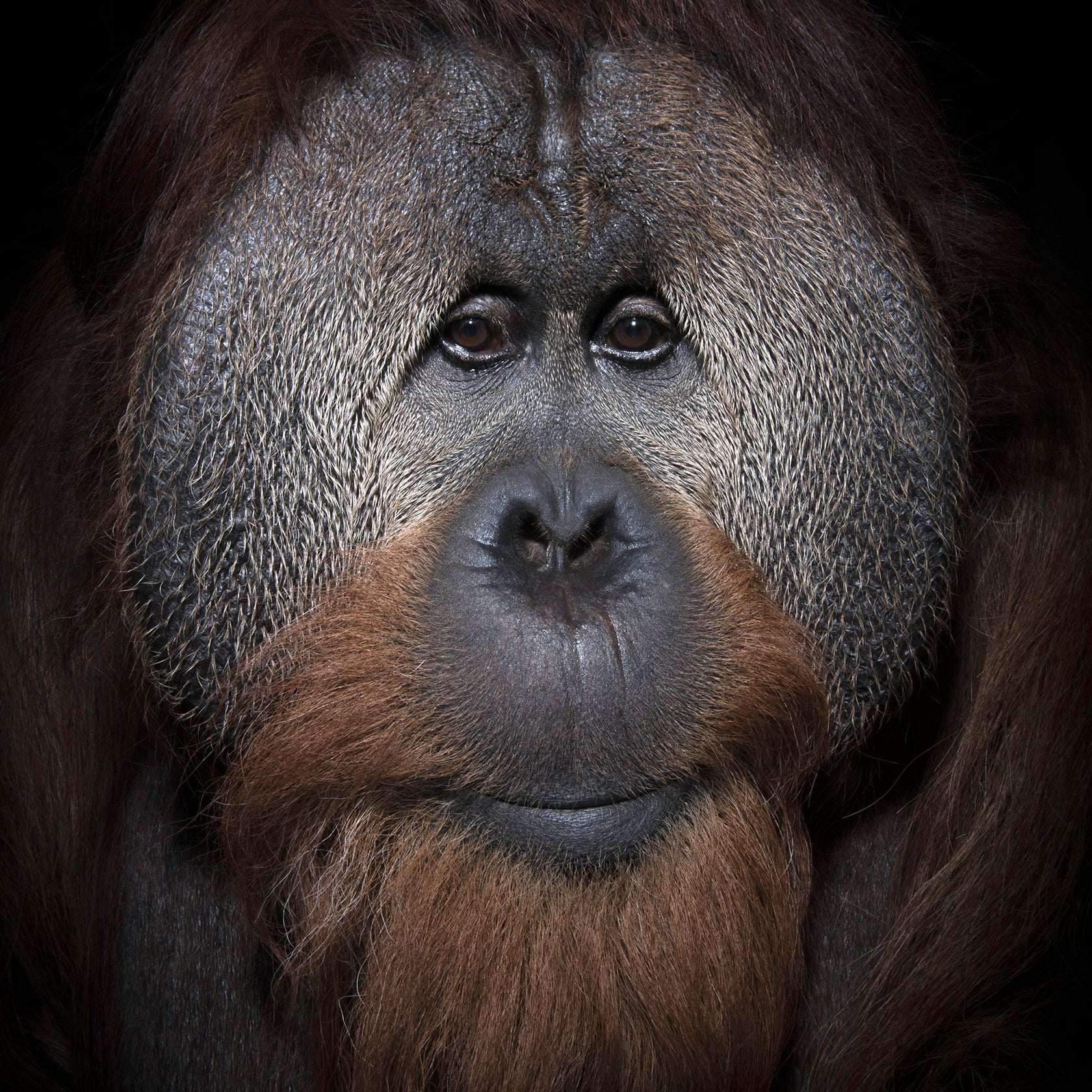 Mark Edward Harris – Think Tank Photo